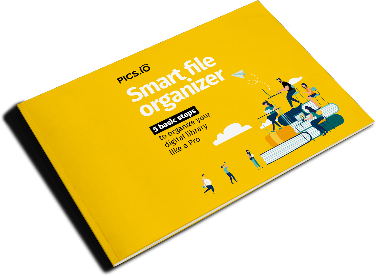 Digital file organizer software, Online file organizer - Pics.io