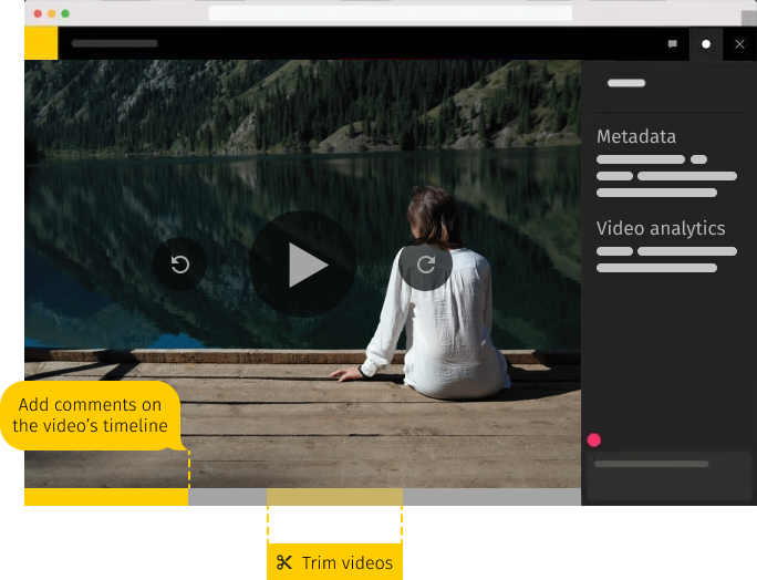 Video Digital Asset Management, DAM Tool for Video - Pics.io