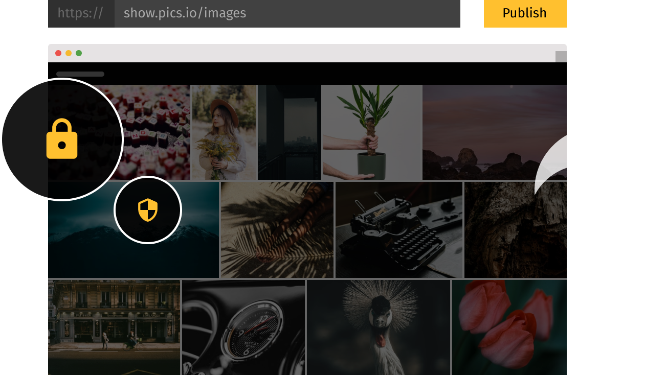 Easy sharing of digital assets with Pics.io DAM platform