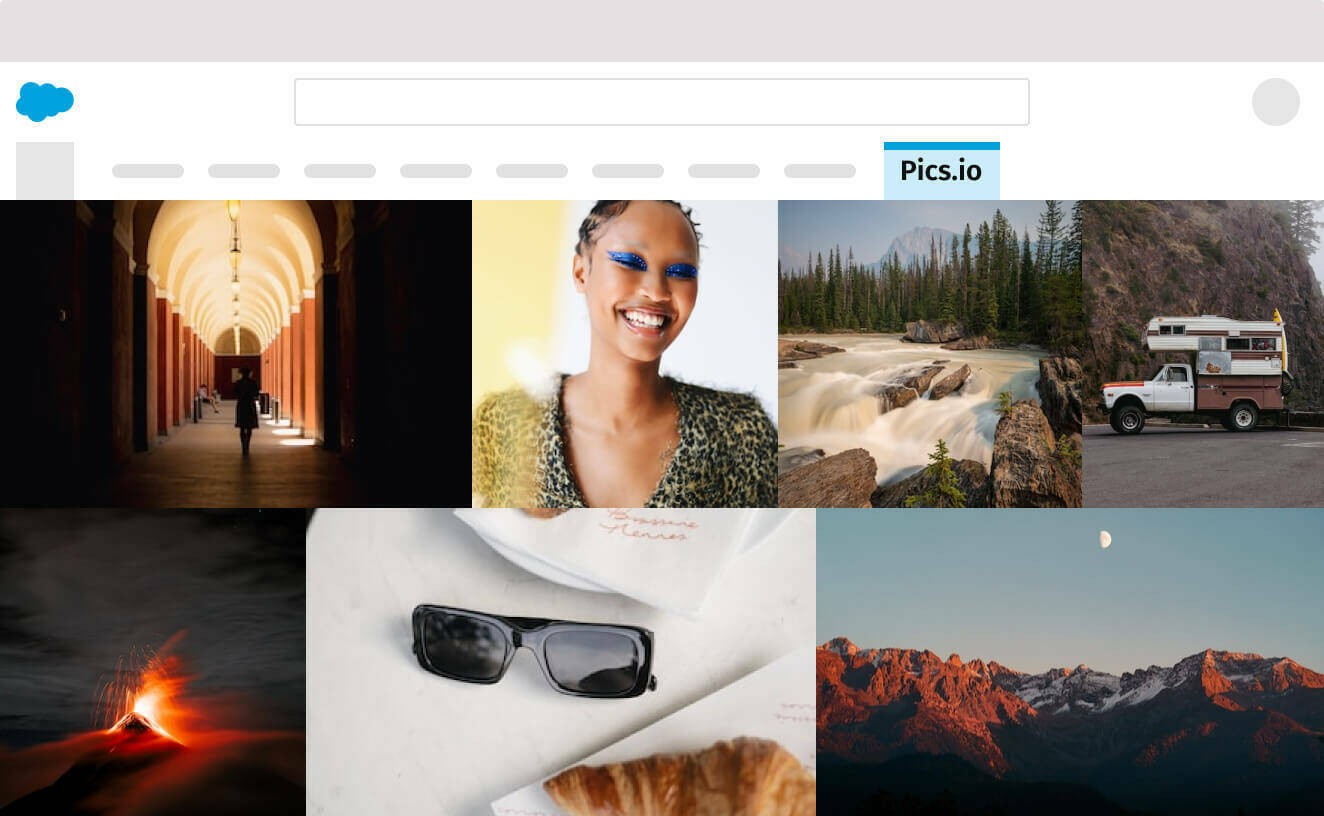 Digital Asset Management (DAM) Integrated with Salesforce - Pics.io