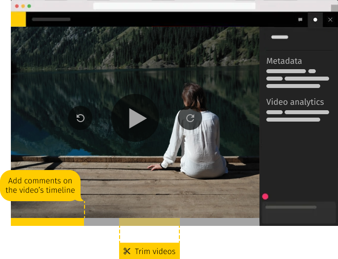 Video Asset Management (VAM) Software, DAM Tool for Video - Pics.io