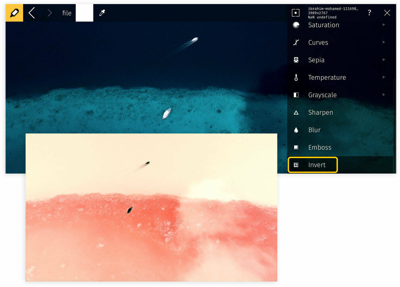 Invert JPG Colour Online in Seconds for Free with Raw.pics.io
