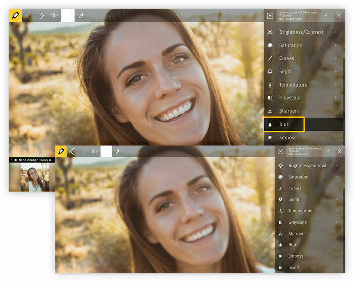 Blur Image Easily Blur Photos Online In Seconds For Free With Raw pics io