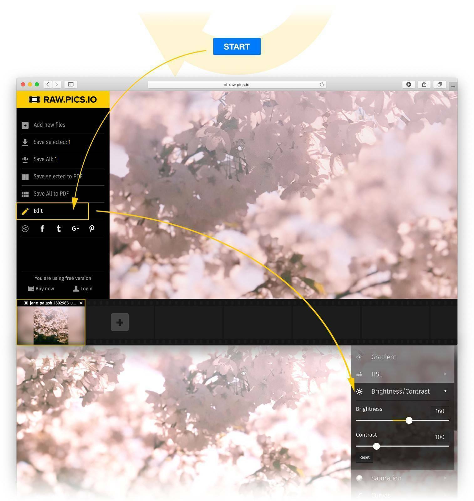Photo Brightener | Bright Image Online | Raw.Pics.Io